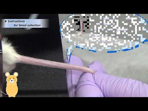 Humaneway Blood Collection Needles for Laboratory Animals – Hundred Inc.